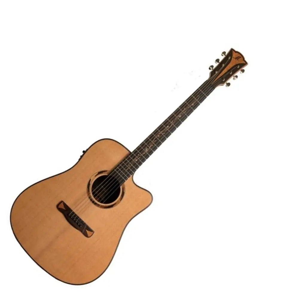 MERIDA A-17 DCE Dreadnought Amplificata – CECCHERINIMUSIC